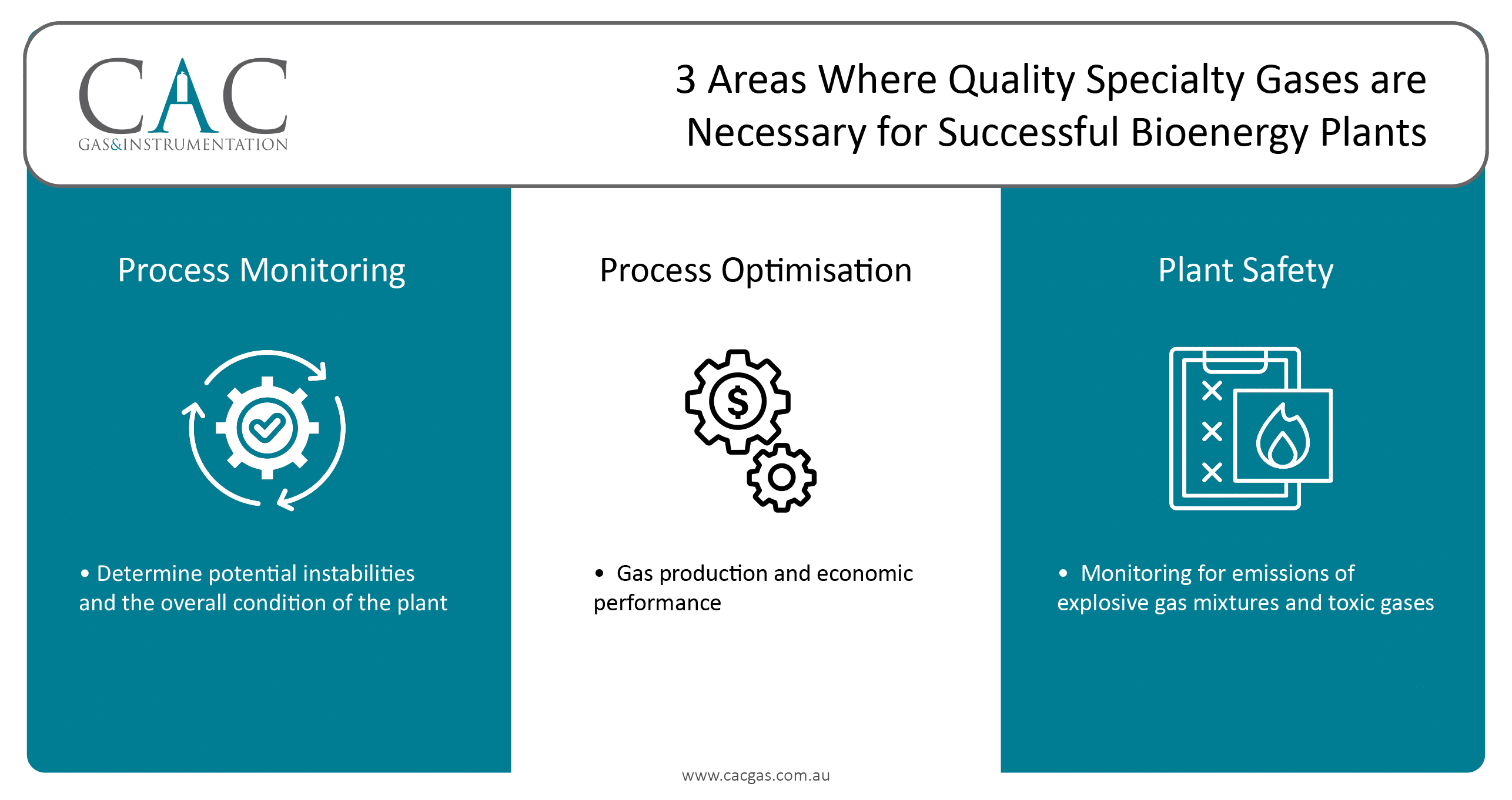 CAC Gas & Instrumentation: Leaders in Specialty Gas Solutions. BIOGAS_3 ...
